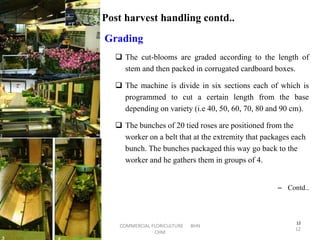 Lecture 4 - Rose.pptx rose under protected cultivation | PPTX ...