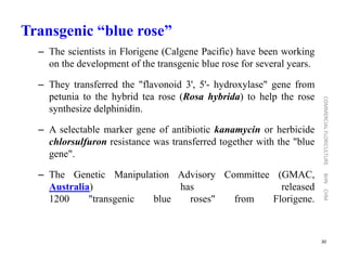 Lecture 4 - Rose.pptx rose under protected cultivation | PPTX