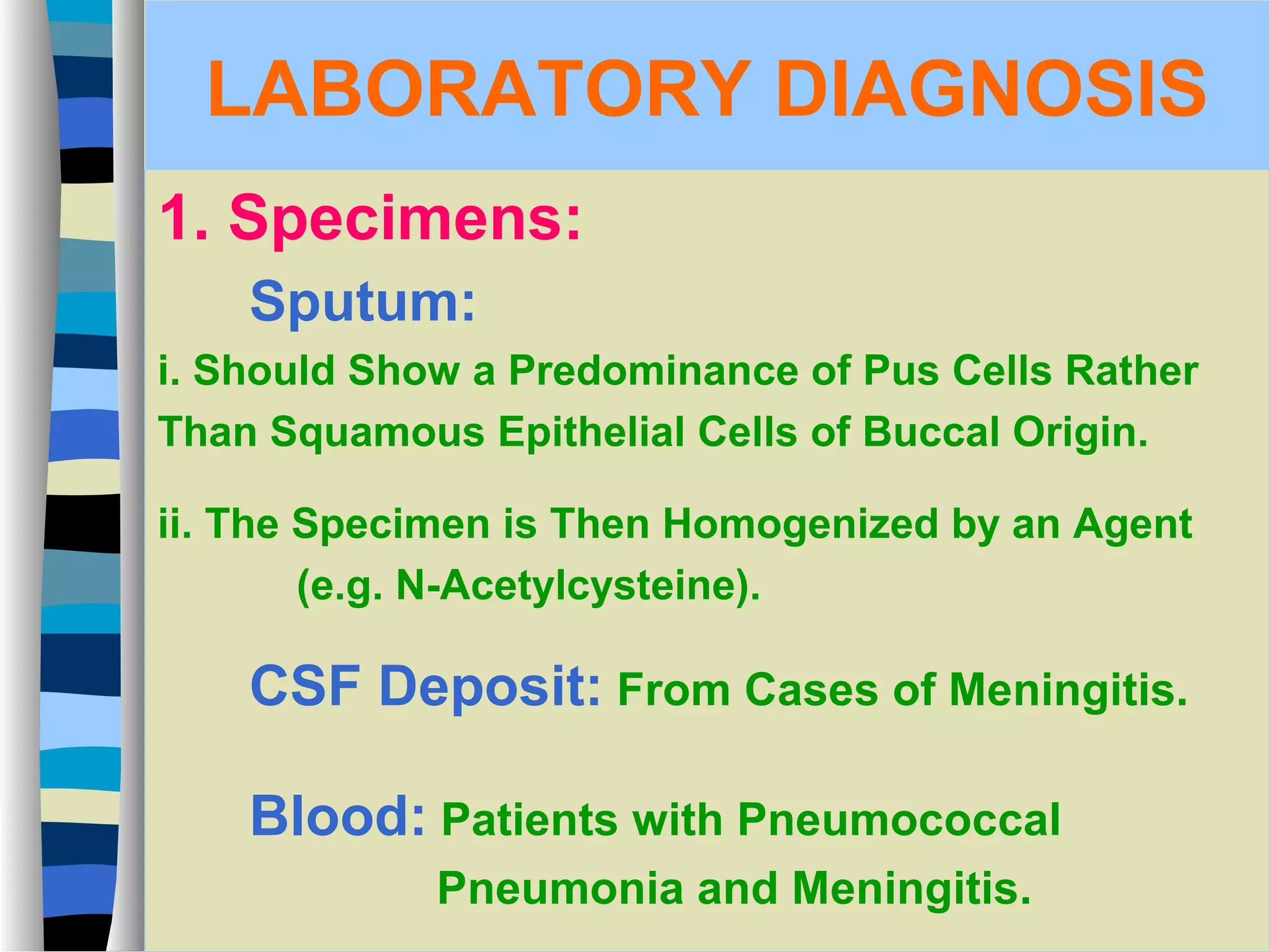 Lecture 4 Strep. pneumoniae | PPT