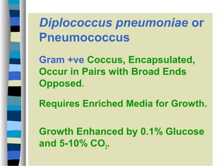 Lecture 4 Strep. pneumoniae | PPT