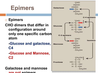 Lecture 4-Structure and function of carbohydrates .ppt