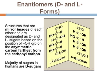 Lecture 4-Structure and function of carbohydrates .ppt