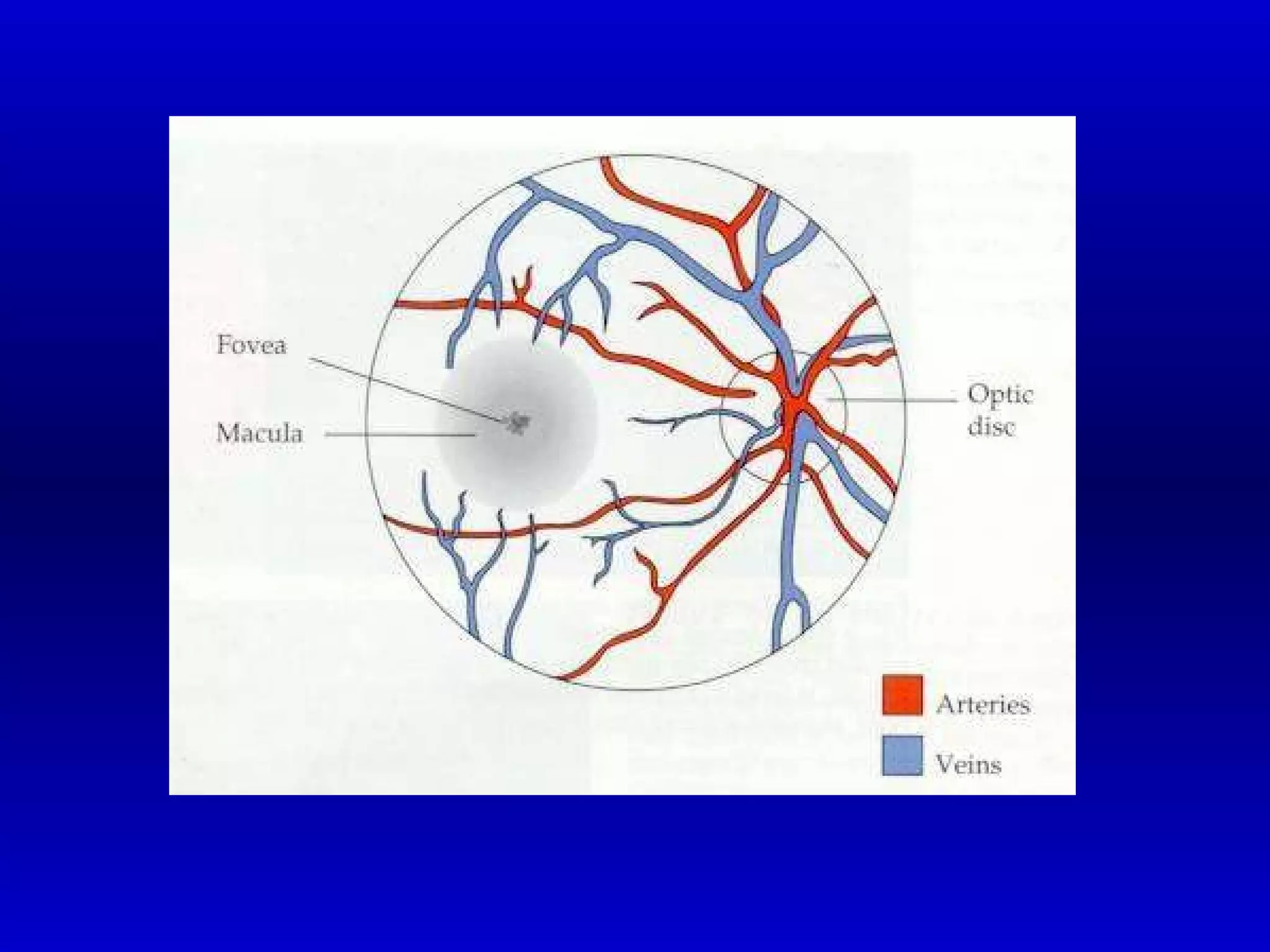 Lecture4 subjective and objective eye exam | PPT