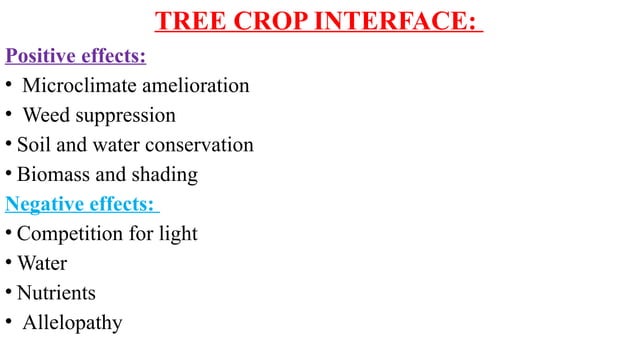Lecture 4-Tree and Crop interaction in a agroforestry system.pptx