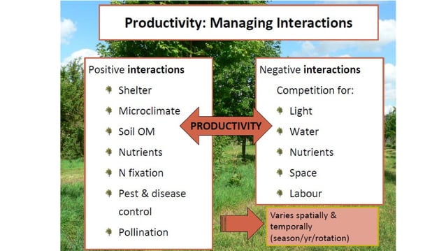 Lecture 4-Tree and Crop interaction in a agroforestry system.pptx