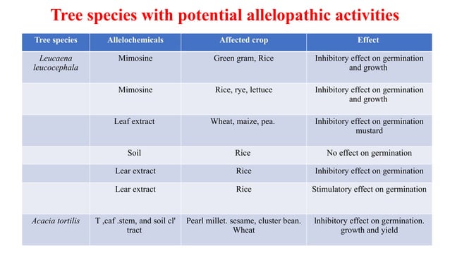Lecture 4-Tree and Crop interaction in a agroforestry system.pptx