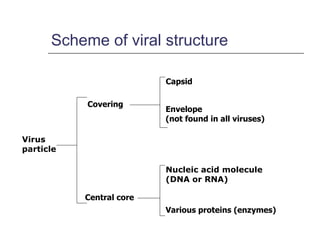 Bohomolets Microbiology Lecture #4 | PPT