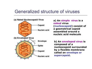 Bohomolets Microbiology Lecture #4 | PPT