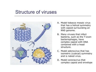 Bohomolets Microbiology Lecture #4 | PPT