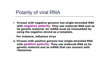 Bohomolets Microbiology Lecture #4 | PPT