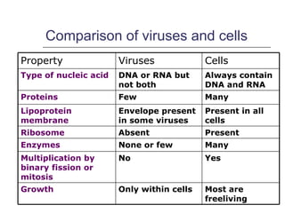 Bohomolets Microbiology Lecture #4 | PPT