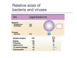 Bohomolets Microbiology Lecture #4 | PPT