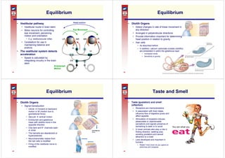 Lecture 4(0).pdf