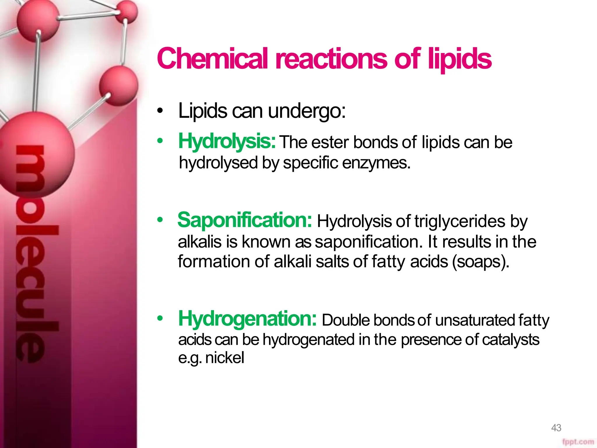 Lipids Molecule Class study Lecture Notes | PDF