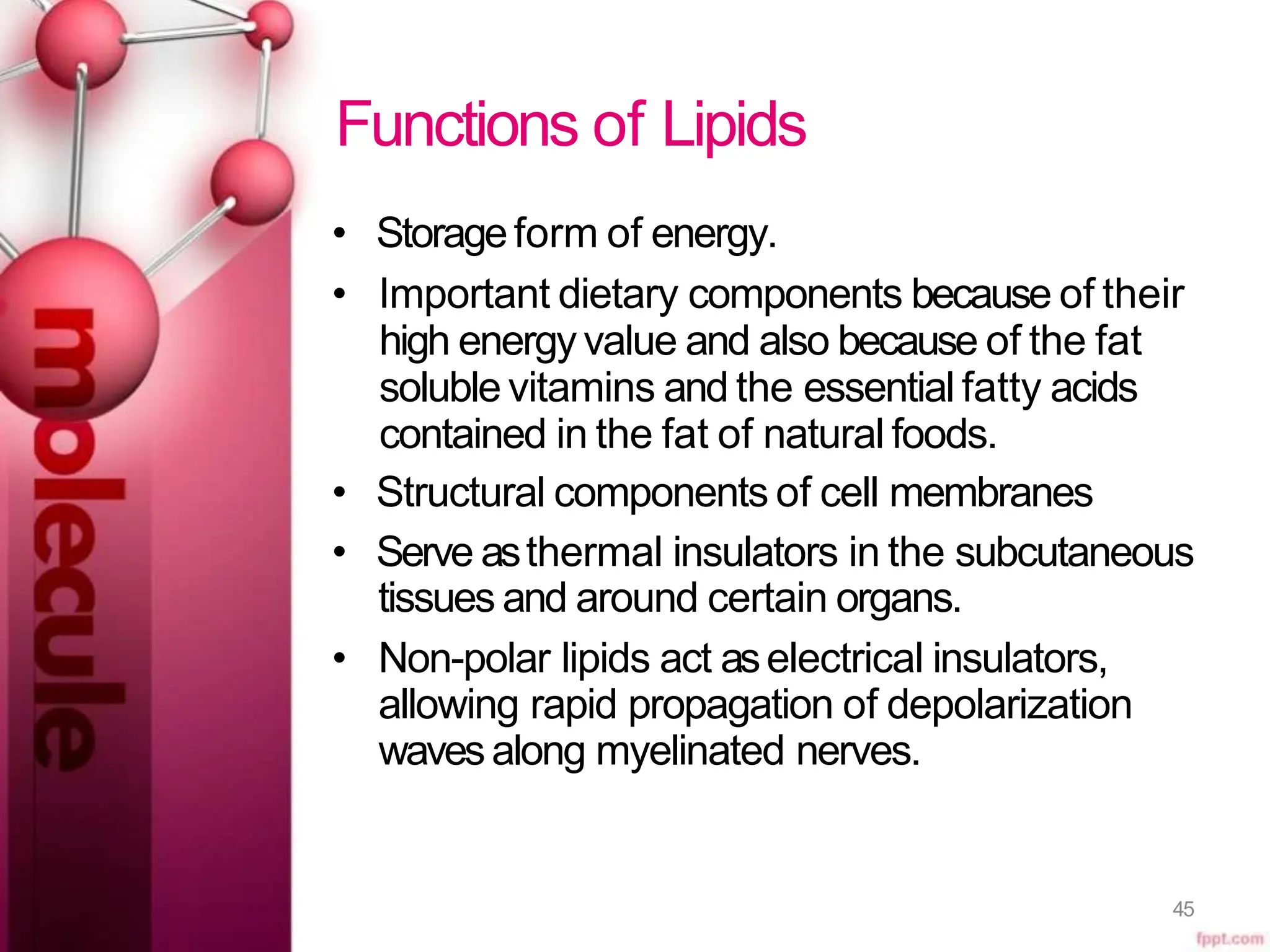 Lipids Molecule Class study Lecture Notes | PPT