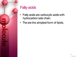 Lipids Molecule Class study Lecture Notes | PPT
