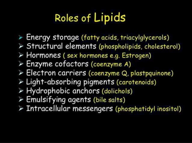 Lipids Molecule Class study Lecture Notes | PPT
