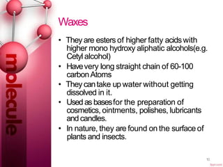 Lipids Molecule Class study Lecture Notes | PPT