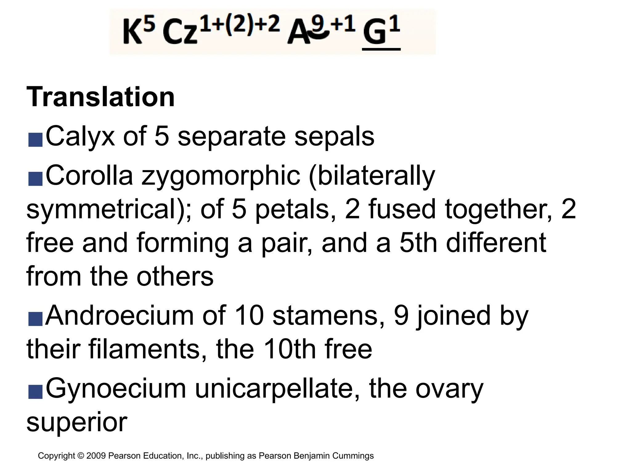 Lecture 4 A-Floral diagrams and Formula.pptx
