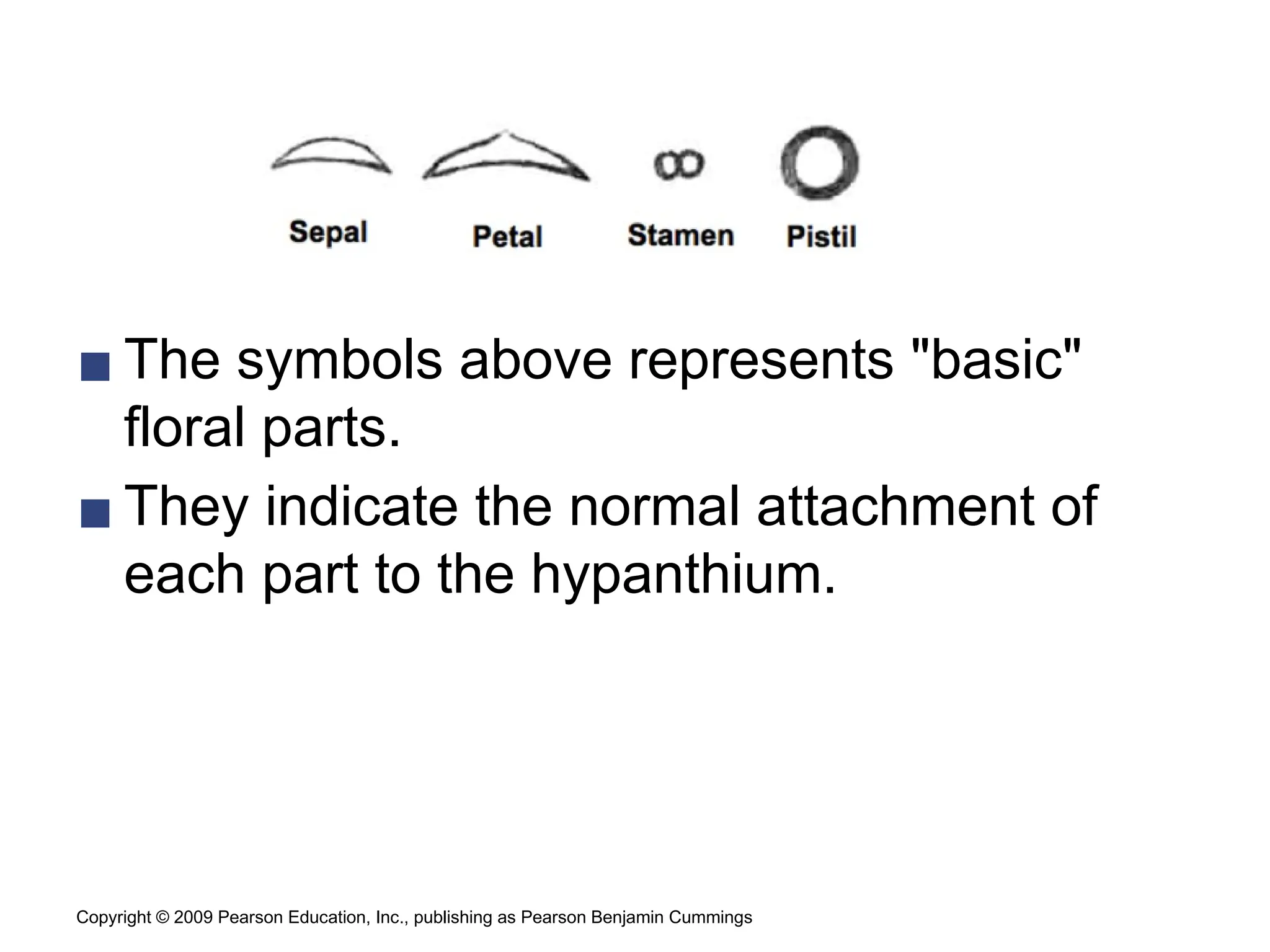 Lecture 4 A-Floral diagrams and Formula.pptx