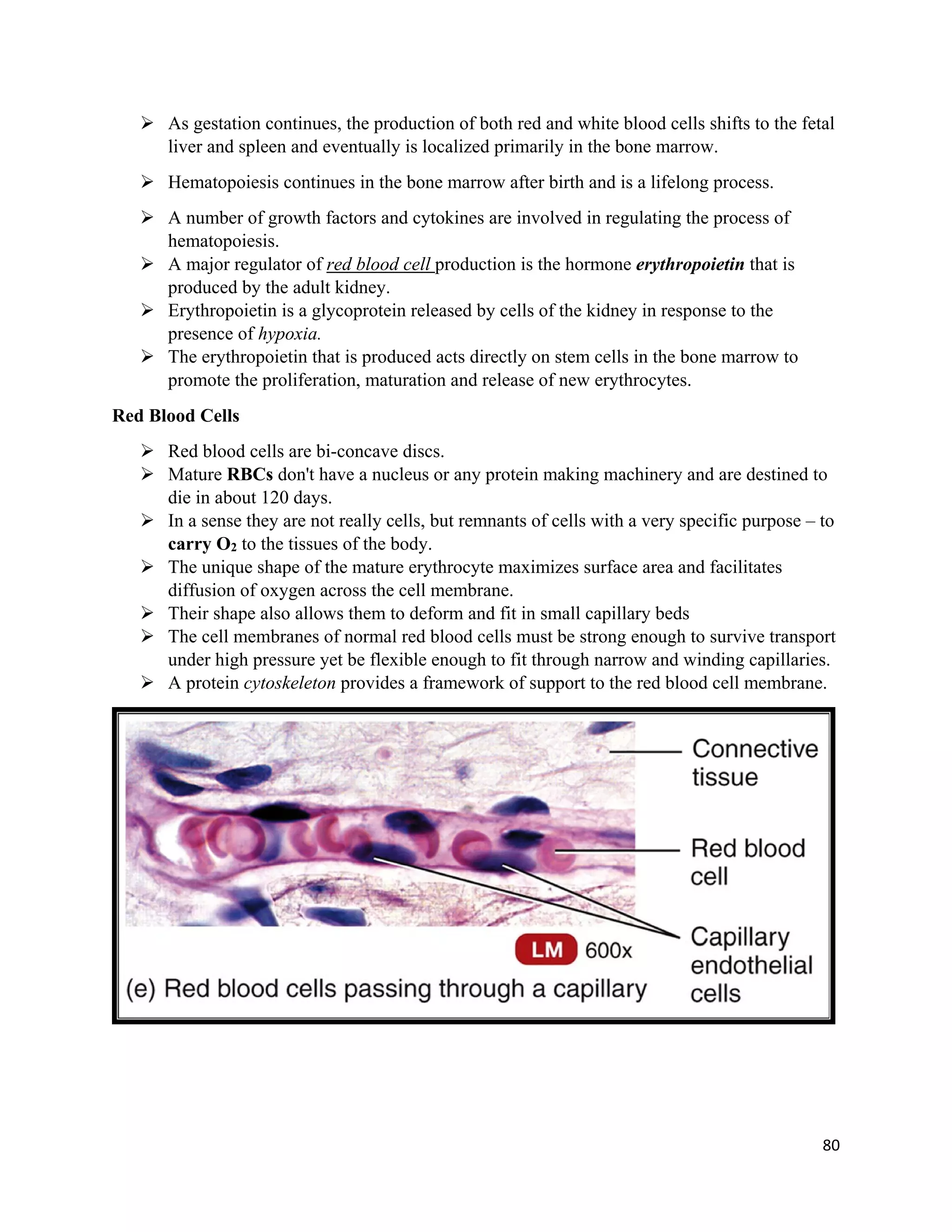 pathology - Hematology | PDF