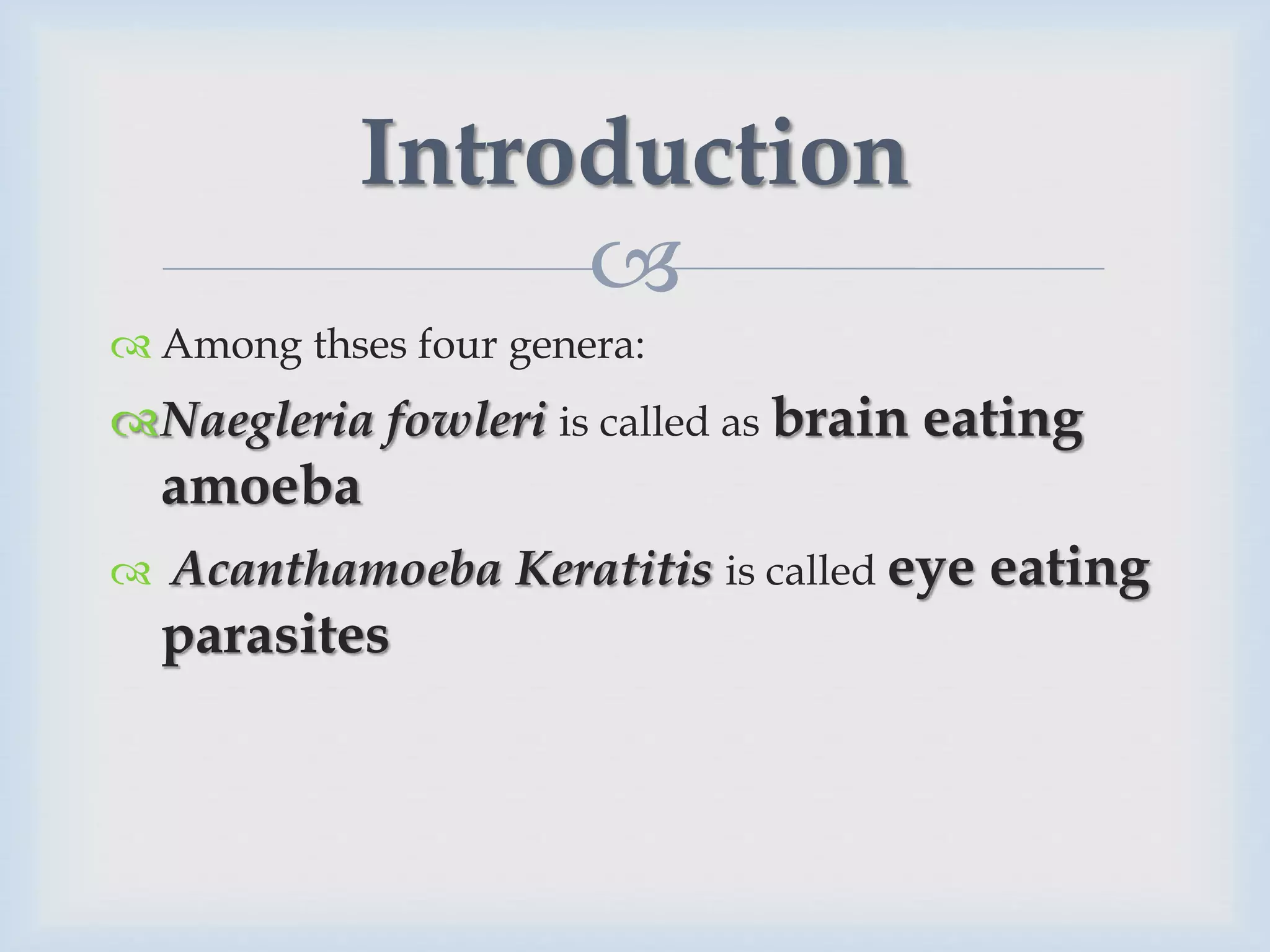 amoeba infecting brain and eyes | PPTX