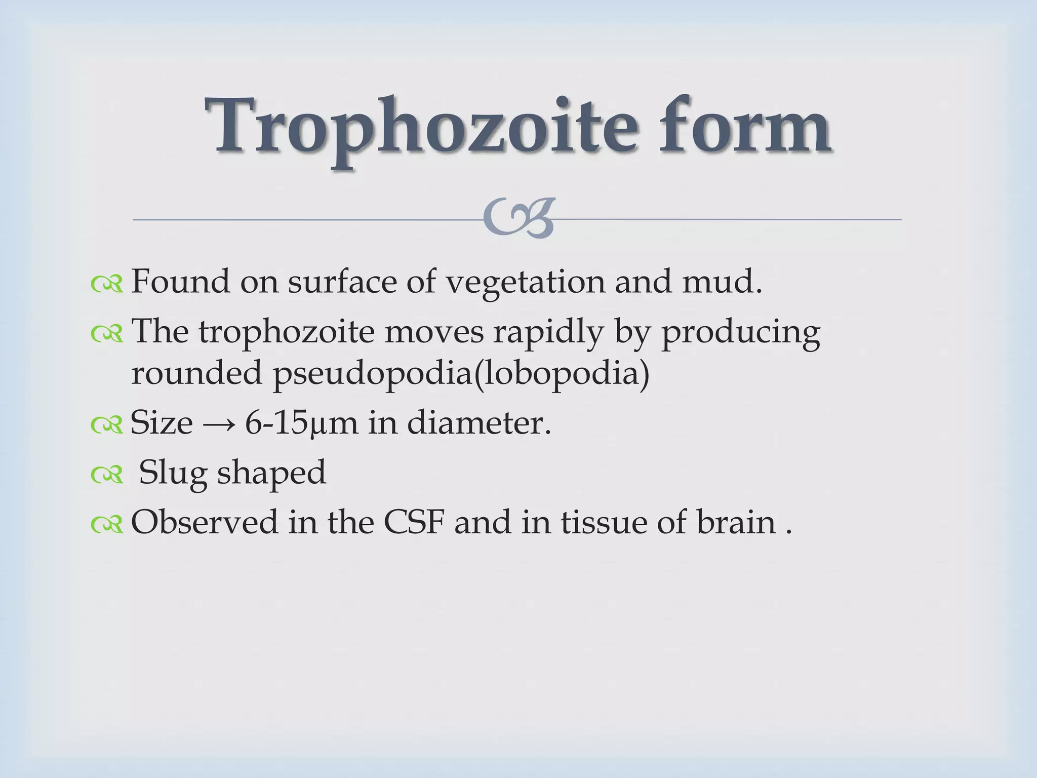 amoeba infecting brain and eyes | PPTX