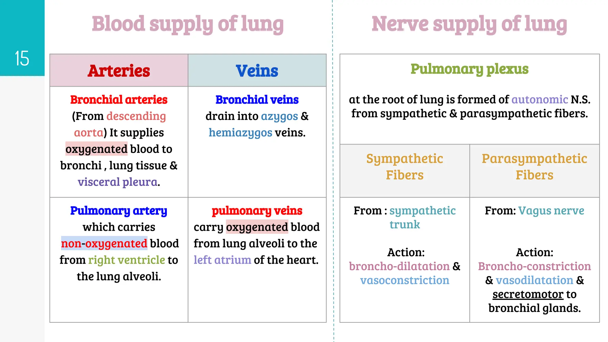 Lecture (4) Anatomy of Lung & Pleura.pdf