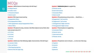 Lecture (4) Anatomy of Lung & Pleura.pdf