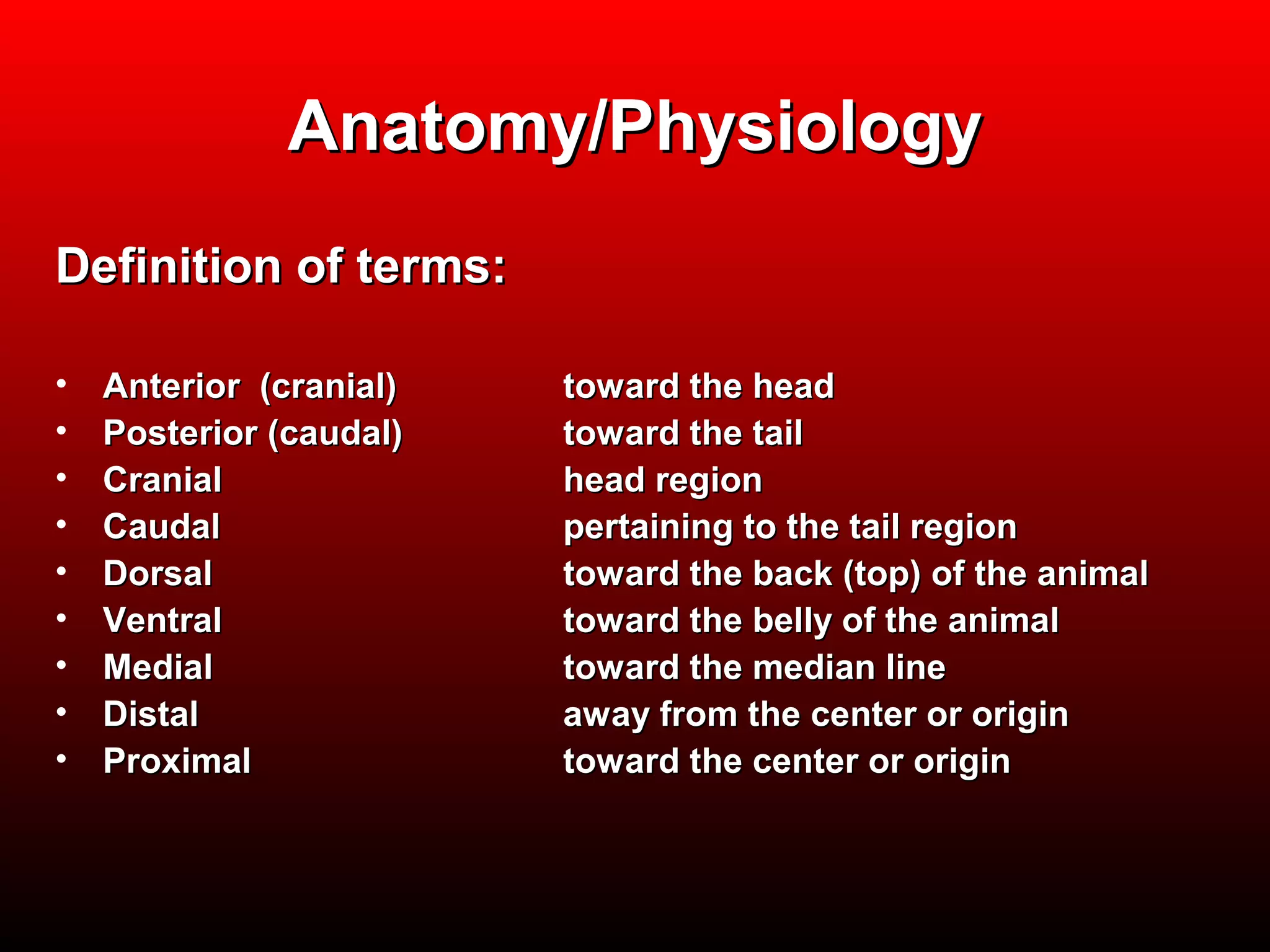 Lecture 4 anatomy review for fish disease | PPT