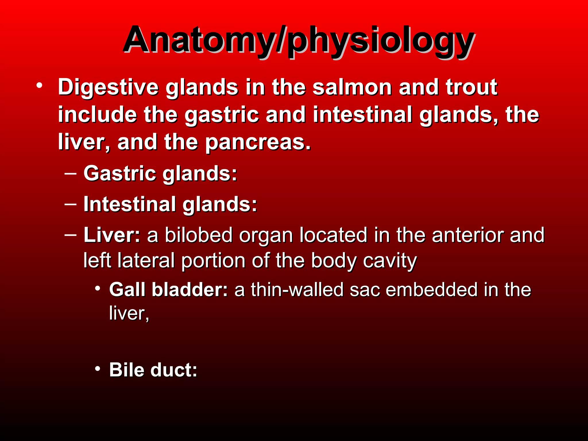 Lecture 4 anatomy review for fish disease | PPT
