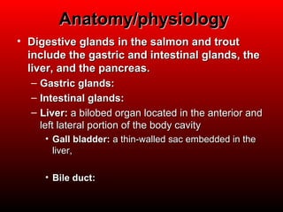 Lecture 4 anatomy review for fish disease | PPT