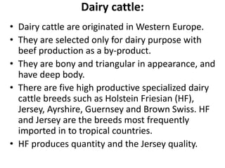 Lecture 4 Animal Husbandry.pptx