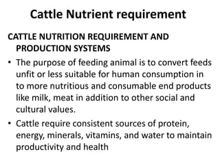 Lecture 4 Animal Husbandry.pptx