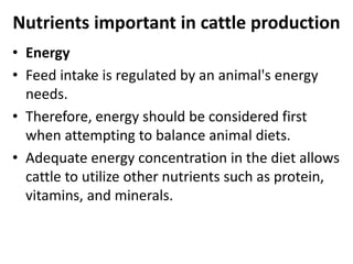 Lecture 4 Animal Husbandry.pptx