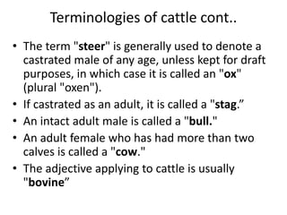 Lecture 4 Animal Husbandry.pptx