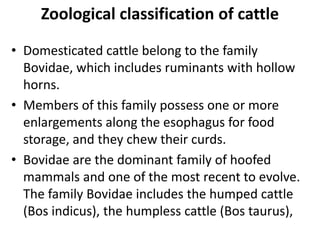 Lecture 4 Animal Husbandry.pptx