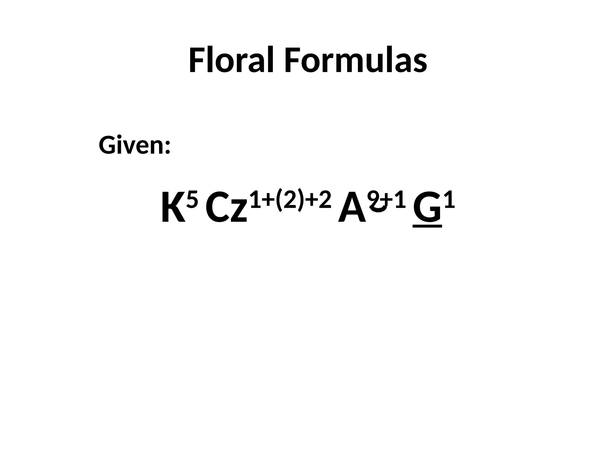 Lecture 4 B-Floral-Formulas-Students.pptx