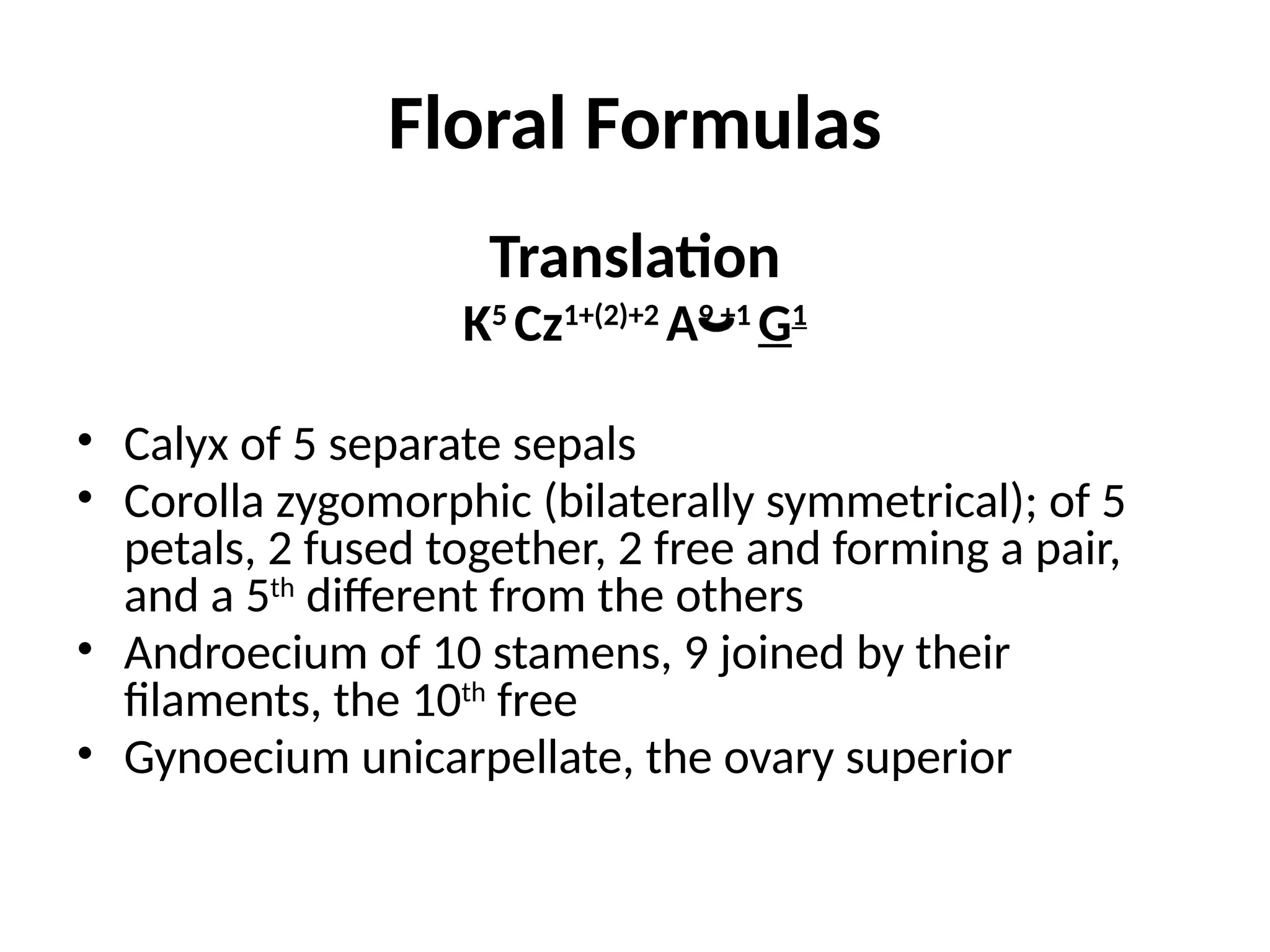 Lecture 4 B-Floral-Formulas-Students.pptx