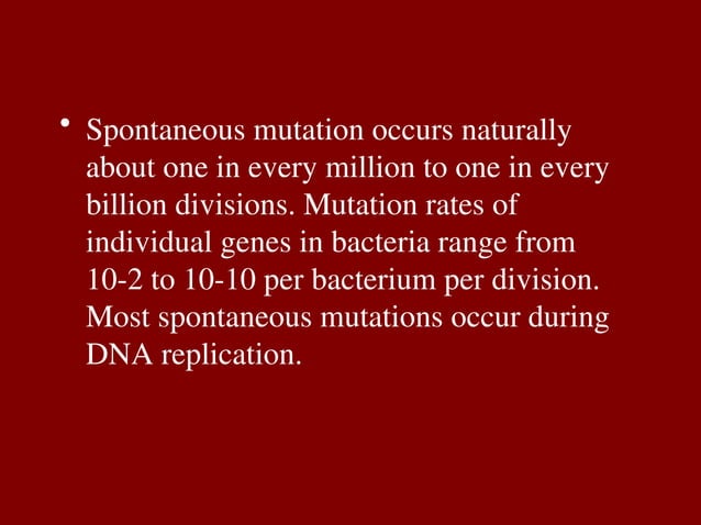Lecture 4 Bacterial Genome-1.pptxxxxxxxx | PPT