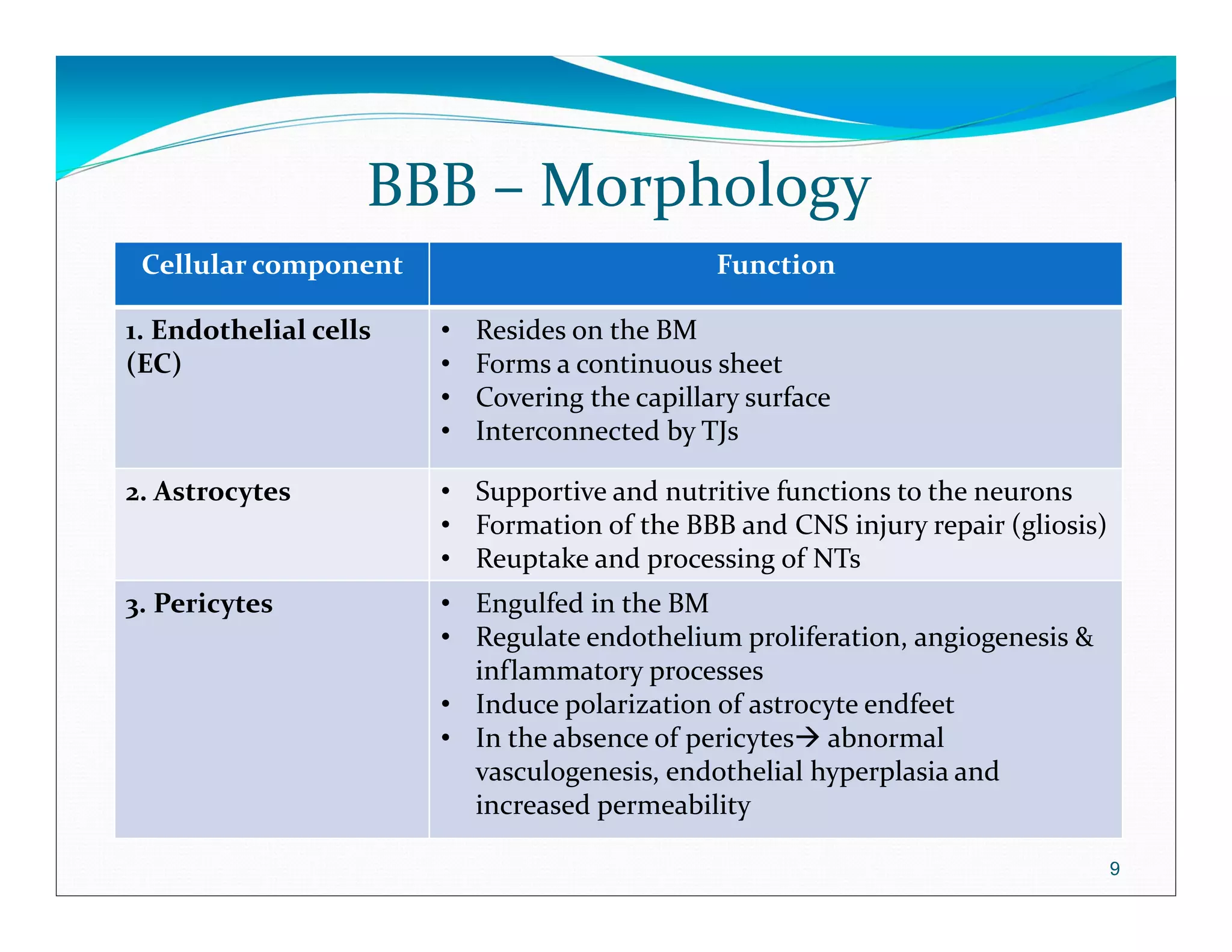 Drug transport through the BBB | PDF