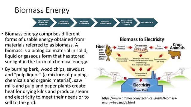 Lecture 4 biomass and geothermal energy | PPTX | Power and Energy ...