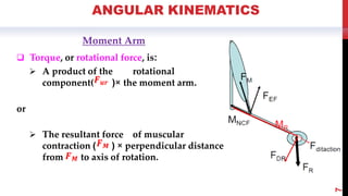 Lecture 4_Biomechanics-Dr. Emad Taleb.pdf