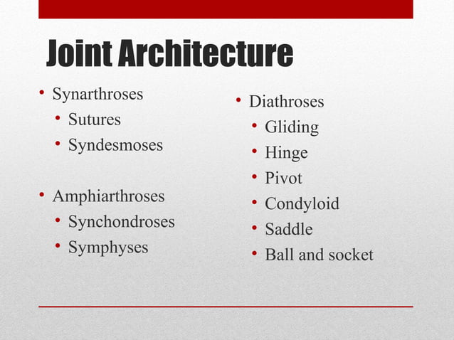 Lecture 4 Biomechanics of human Skeletal Articulations.ppt