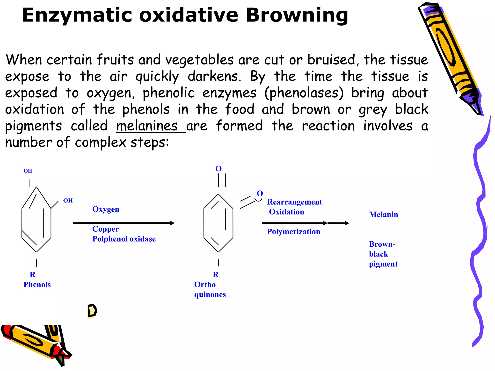 Lecture 4 browning reaction | PDF