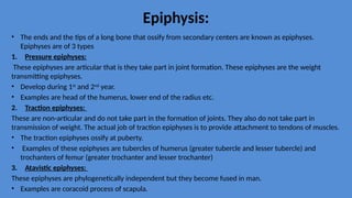 Lecture 4 Cartilage and osification.pptx