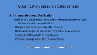 Lecture 4 Cartilage and osification.pptx