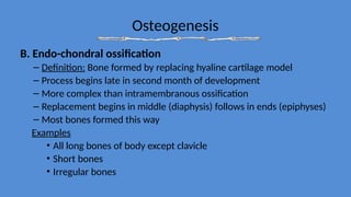 Lecture 4 Cartilage and osification.pptx
