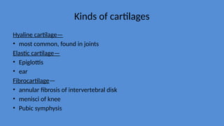 Lecture 4 Cartilage and osification.pptx