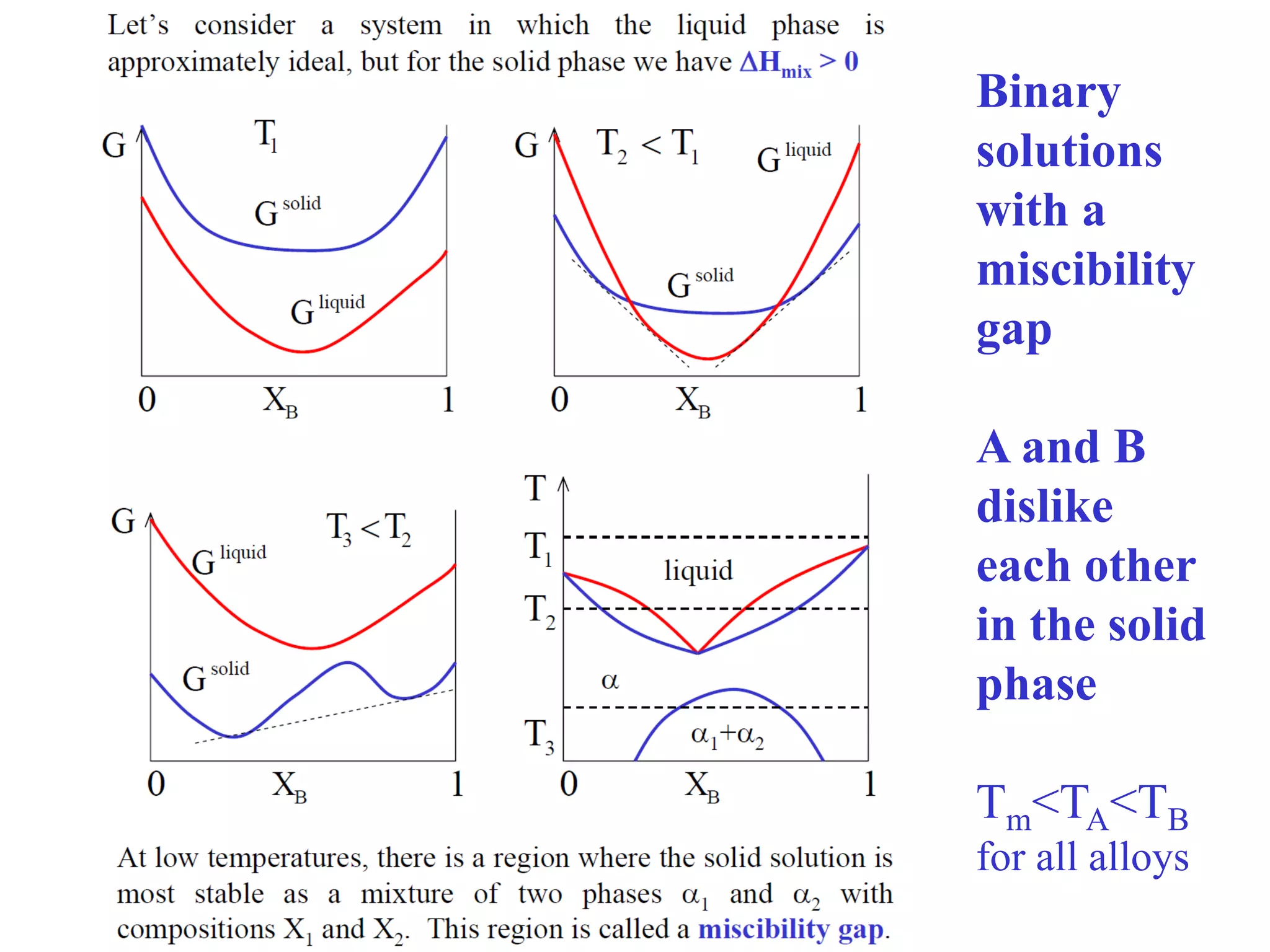 Lecture: Binary phase diagrams and Gibbs free energy curves | PDF